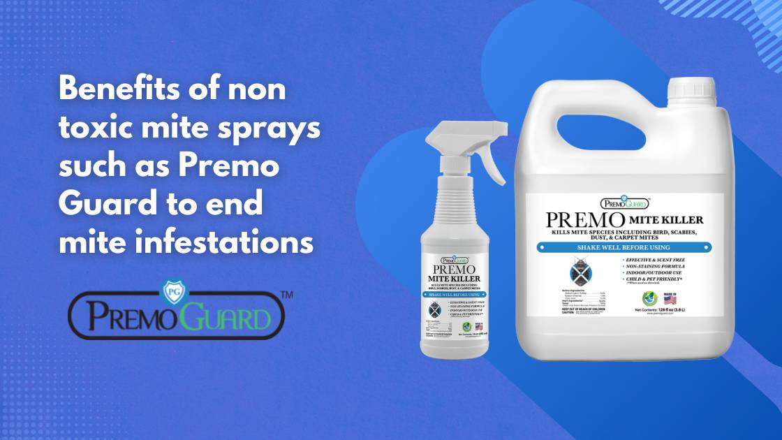 Benzarid Scabies Human Mite Killer Spray Cleaner –, 49% OFF