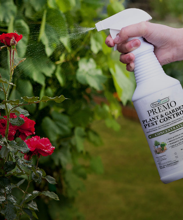 All Natural Pest Control Solutions – Premo Natural Products