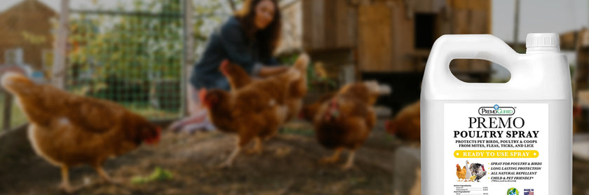 Poultry Sprays – Premo Natural Products